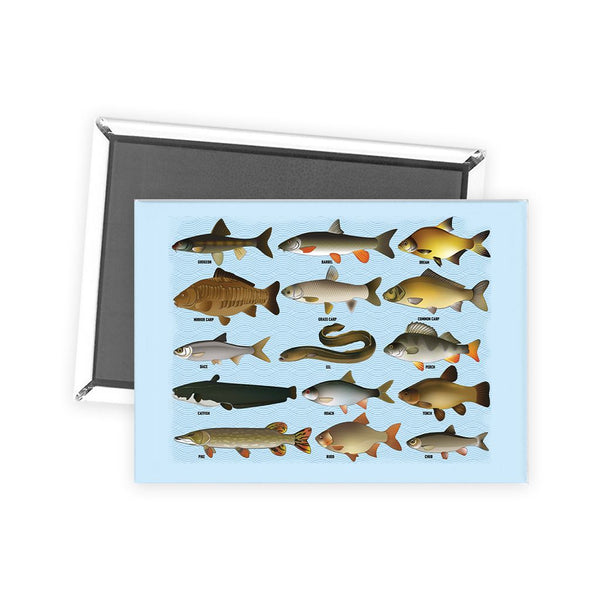 Coarse Fishing : CHSE074 – Star Editions