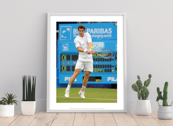 Andy Murray Photo - 11X14inch Premium Art Print – Star Editions